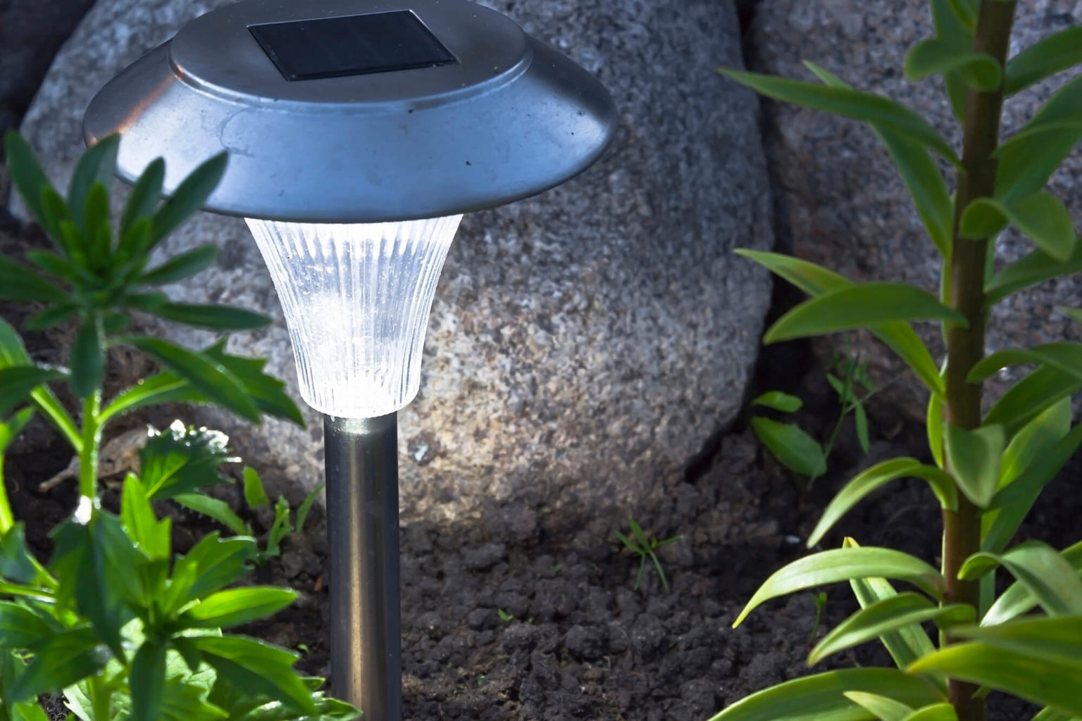 Best Solar Path Lights for 2024 - Path Lights for Illuminating Walkways ...