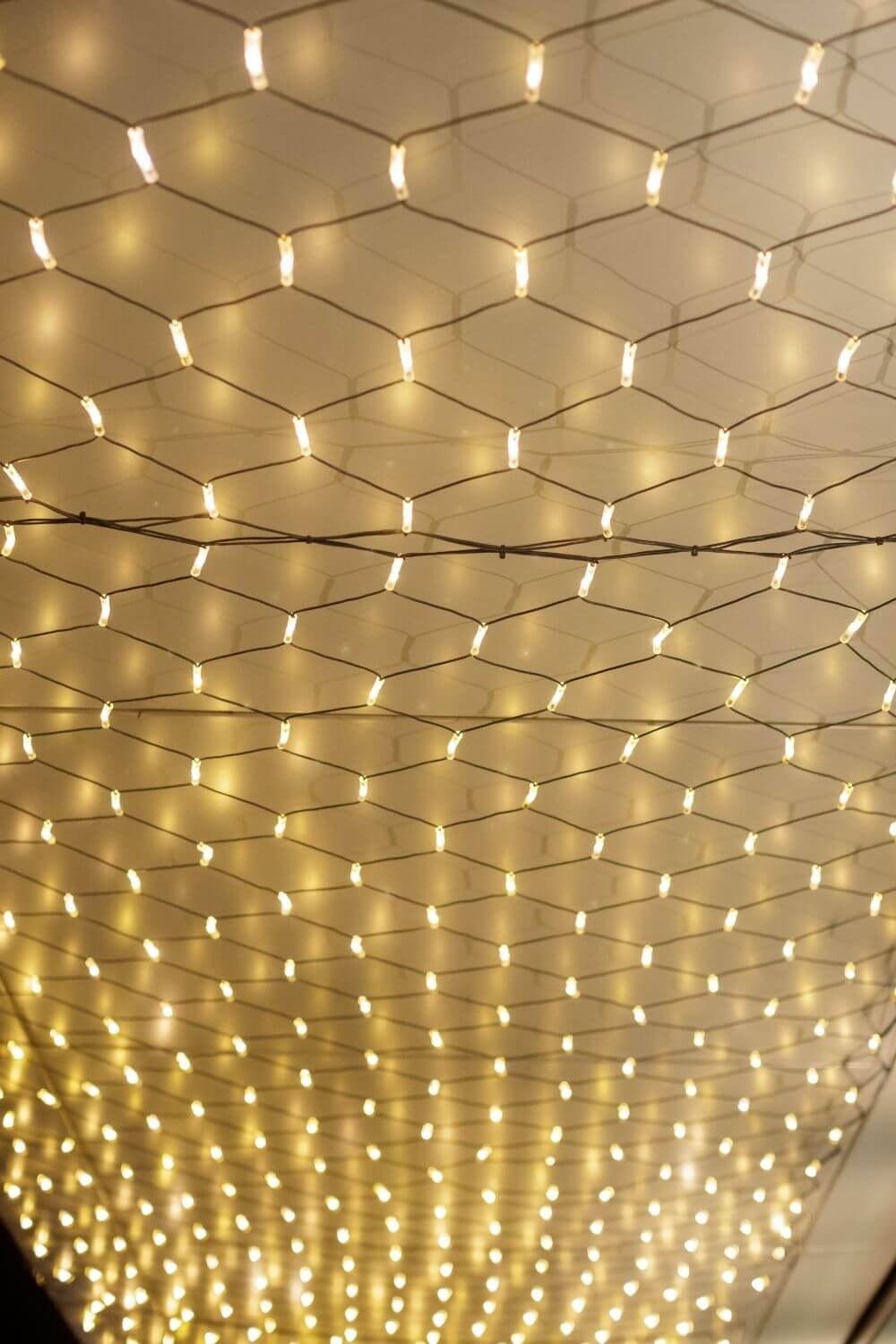 Best Solar Net Lights for 2024 - Net Lights for Unique and Decorative ...