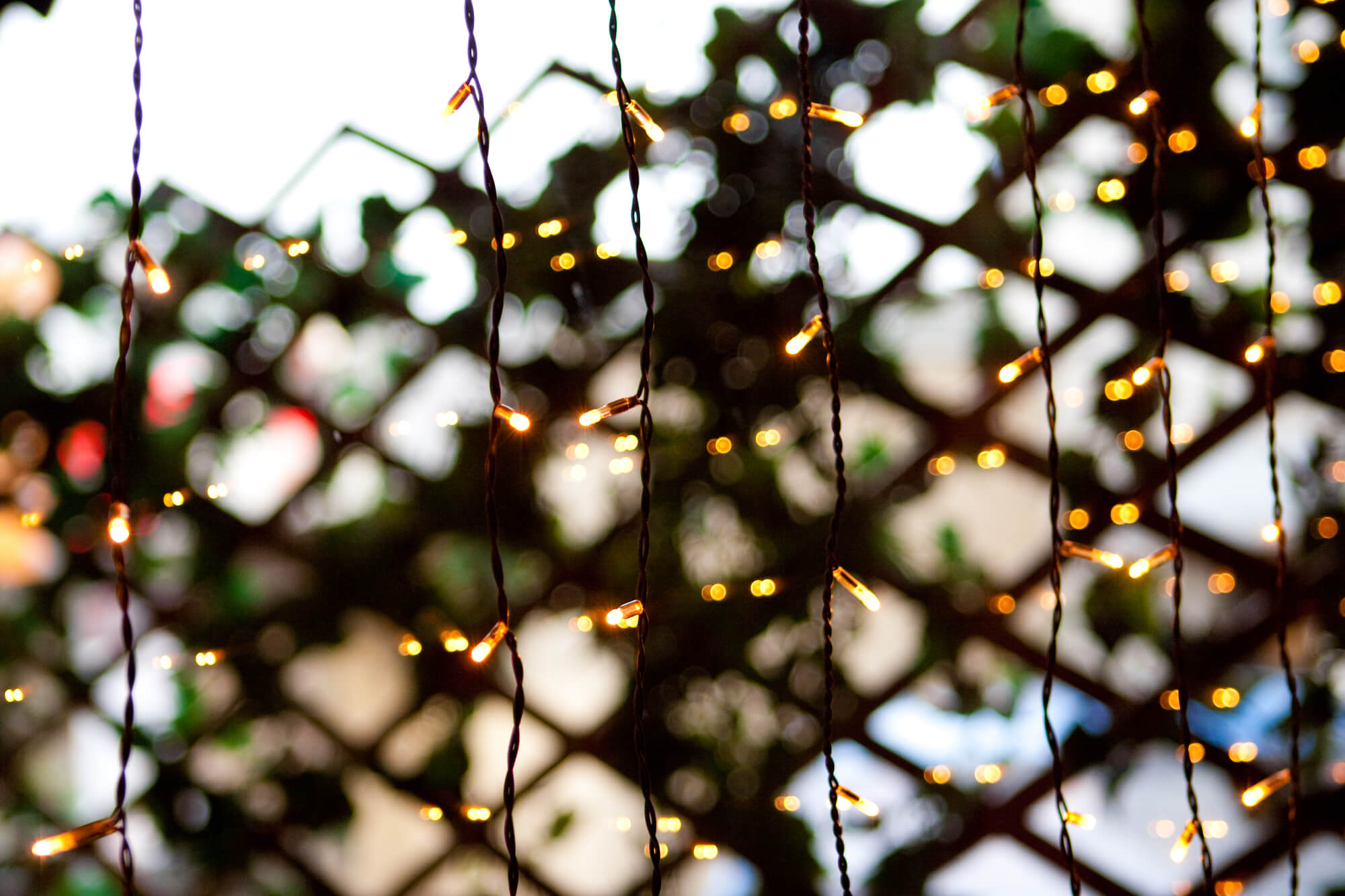 Best Solar Net Lights for 2024 - Net Lights for Unique and Decorative ...