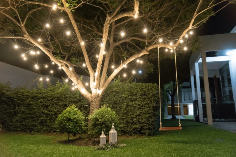 Best Solar Tree Lights for 2024 - Tree Lights in a Stylish and ...