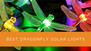Best Dragonfly Solar Lights for 2024 - Dragonfly-shaped Lights Powered ...