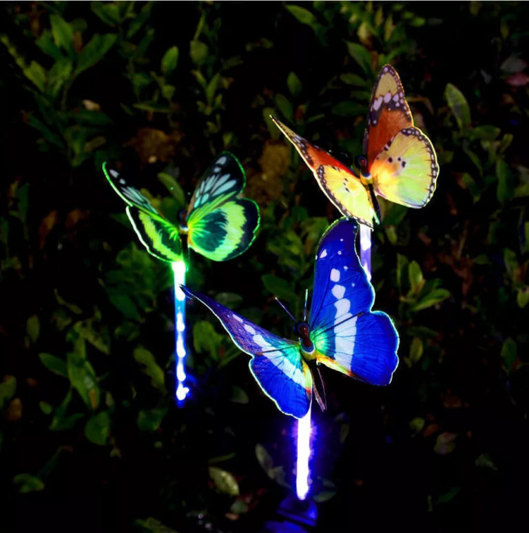 Best Butterfly Solar Lights for 2024 - Whimsical Solar Lights for ...