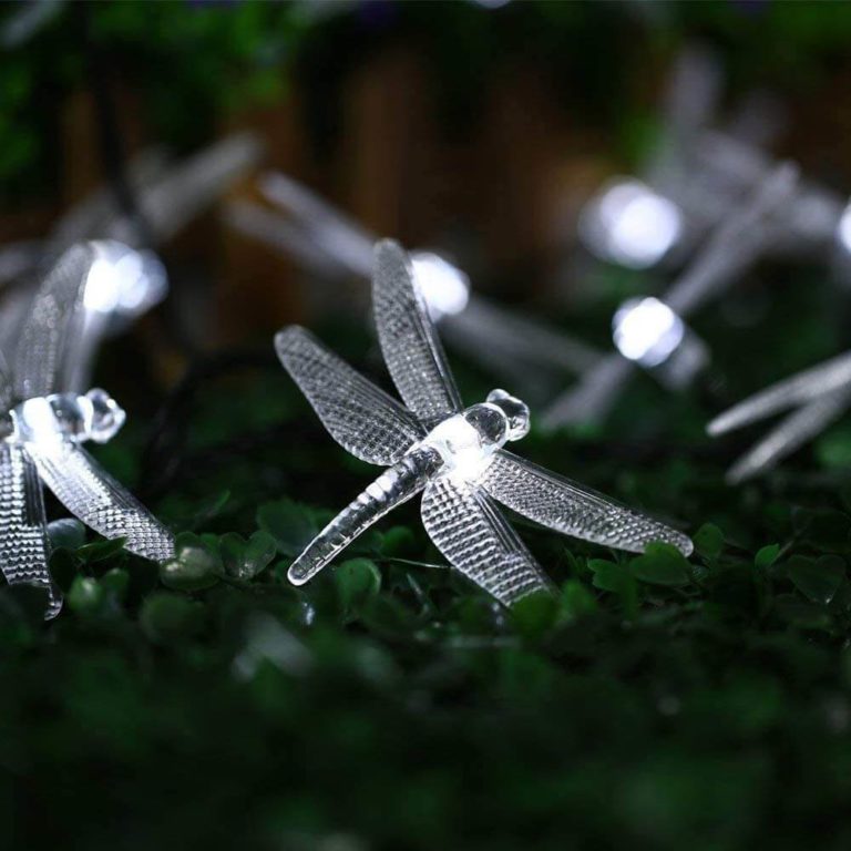 Best Dragonfly Solar Lights for 2022 - Solar Panels Network