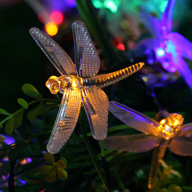Best Dragonfly Solar Lights for 2024 - Dragonfly-shaped Lights Powered ...